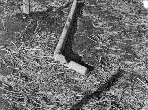 The Alien Encounter Of Masato Kawano and Katsuhiro Yamahata With Fanged ...